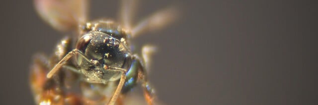 ArtStation - joe reese