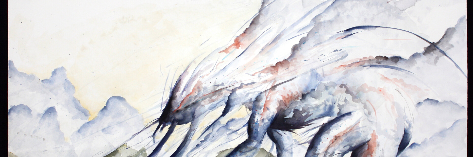 Andrew Croft - Portfolio