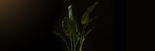 ArtStation - Adam Ingram