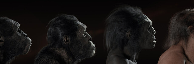 ArtStation - Arash Hadavi