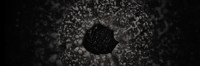 ArtStation - Dylan Brunner