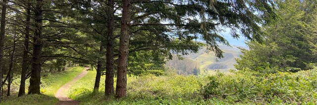 ArtStation - Vincent "Daz" Dazio