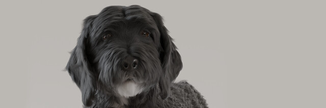 ArtStation - Morgan Morrell-Frewen