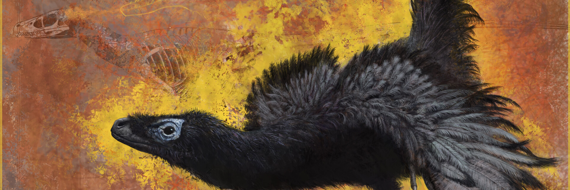 Hank Sharpe - Portfolio