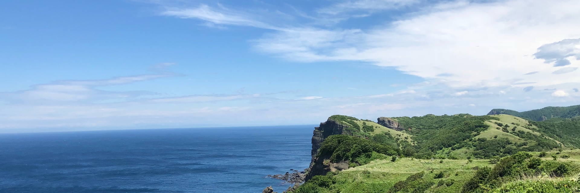 Jamie Lim - Portfolio