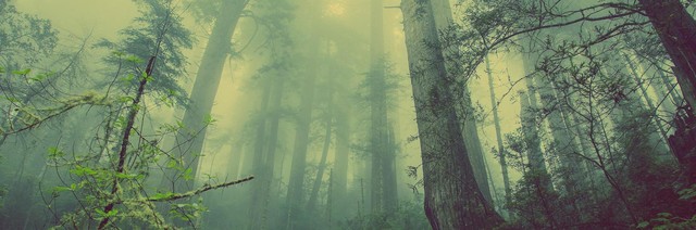 ArtStation - Reza Fachrul Azis