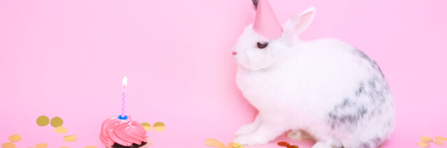 ArtStation - Jennifer Carlsson