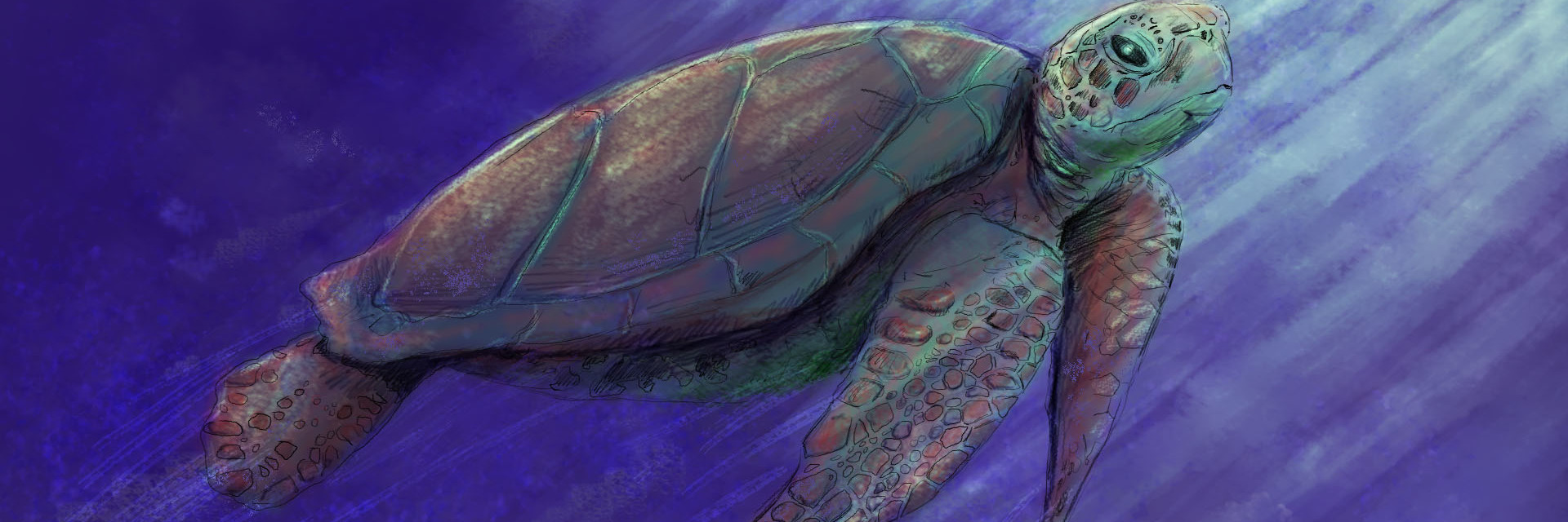 ArtStation - Ana Medrano