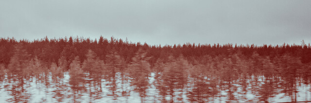 ArtStation - Anastasia Stepanova