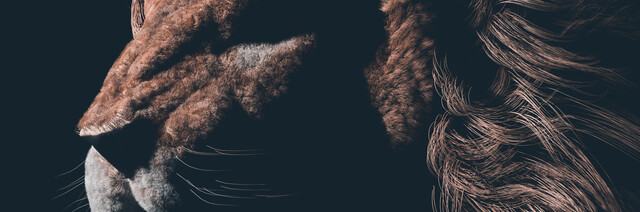 ArtStation - Máté Németh