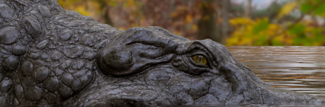 ArtStation - Eduardo Rangel