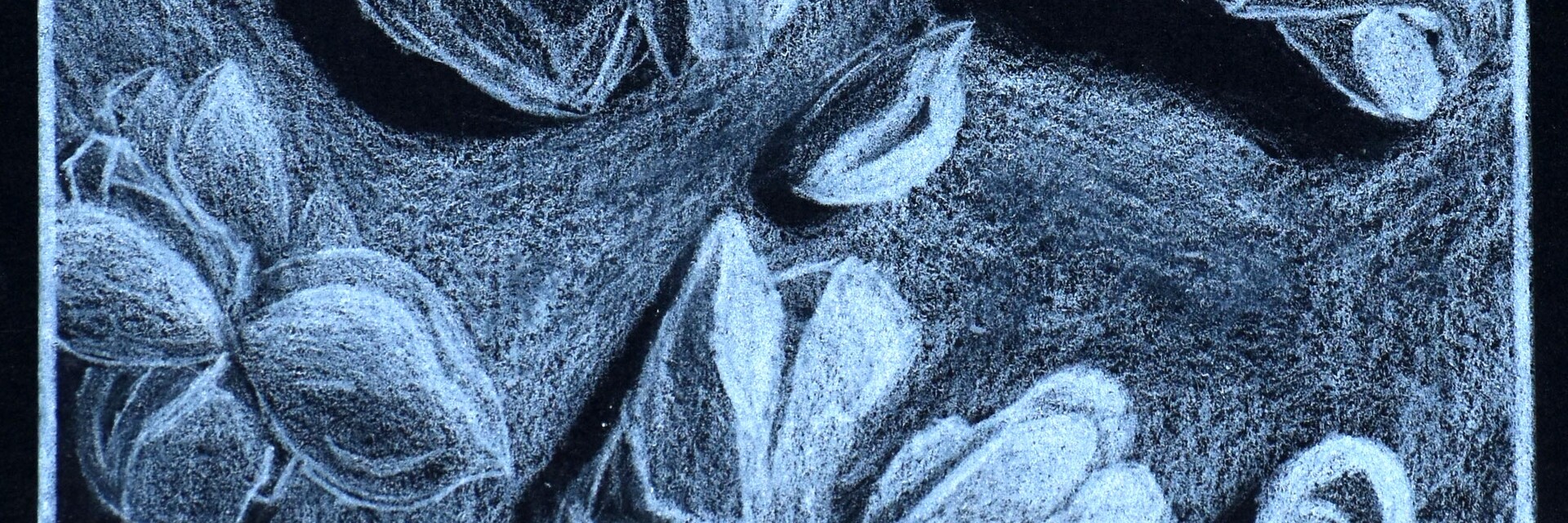 ArtStation - Fiona Hurst