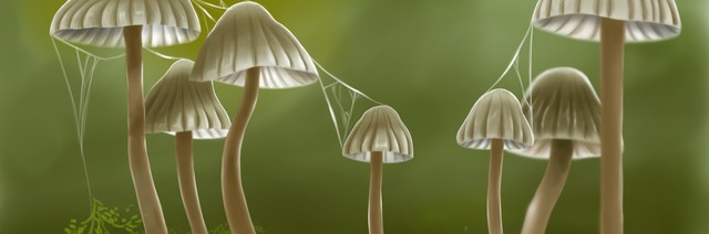 ArtStation - Mayte Carrasco