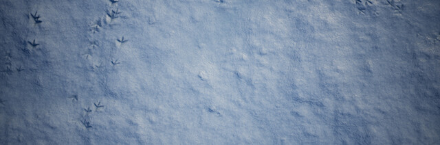 ArtStation - Share Textures