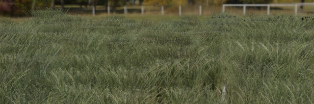 ArtStation - Corey Barnes