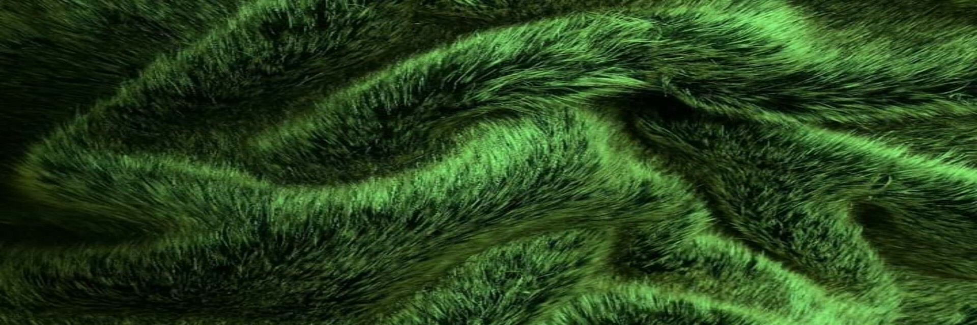 Raven Miller - Portfolio