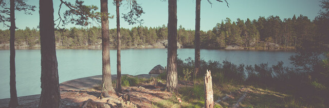 ArtStation - Paul Mabon