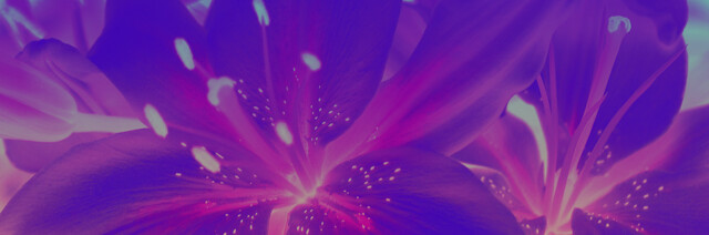 ArtStation - Benjamin Wild