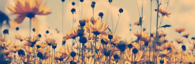 ArtStation - Catherine Gates