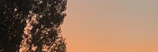 ArtStation - Ty Briggs