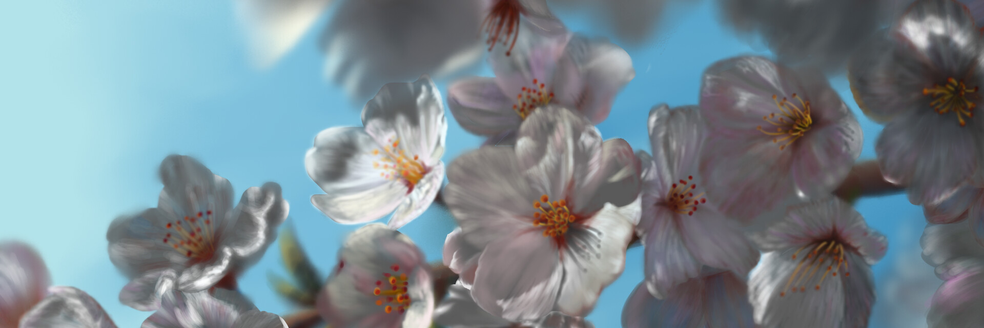 ArtStation - Sarah Carlton