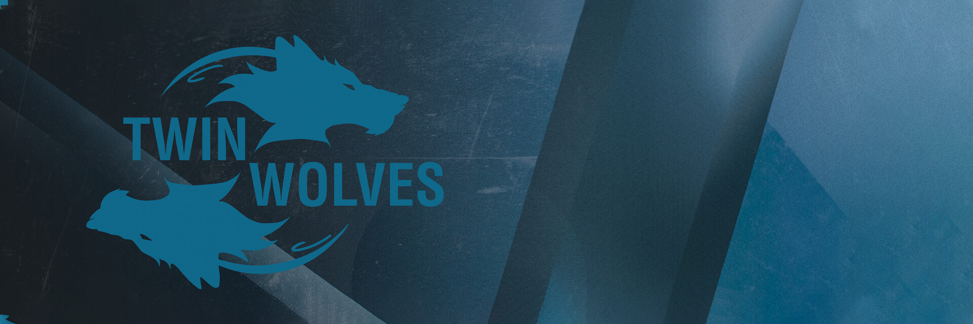 ArtStation - Twin Wolves Studio