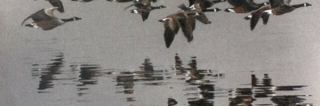 ArtStation - James Colter