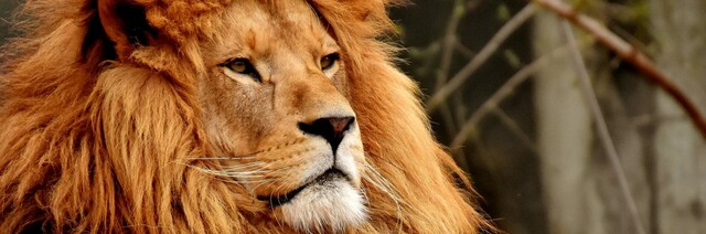 ArtStation - Malik Keita