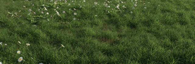 ArtStation - Angel Aponte