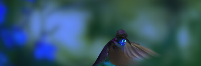 ArtStation - Mario Reynoso