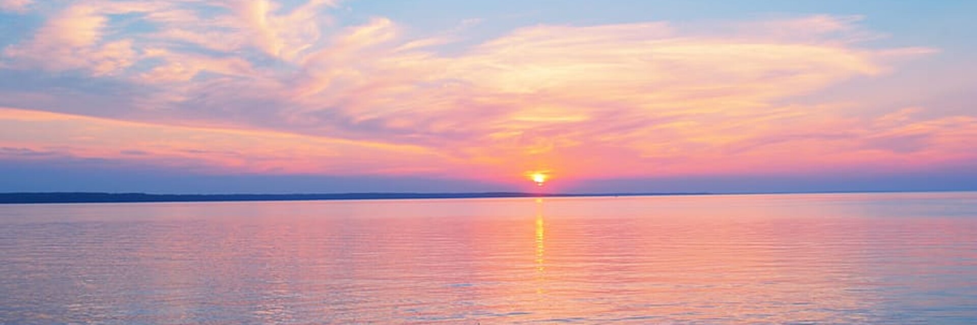 Maya Callaghan - Portfolio