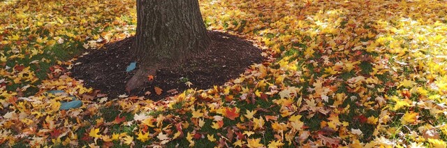 ArtStation - Boyan Zhang