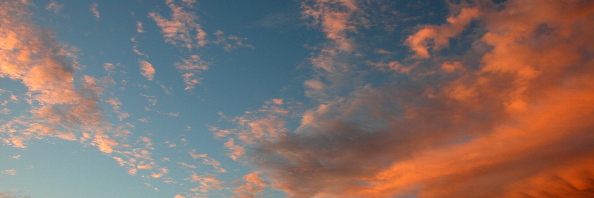 ArtStation - Robert Cottrell