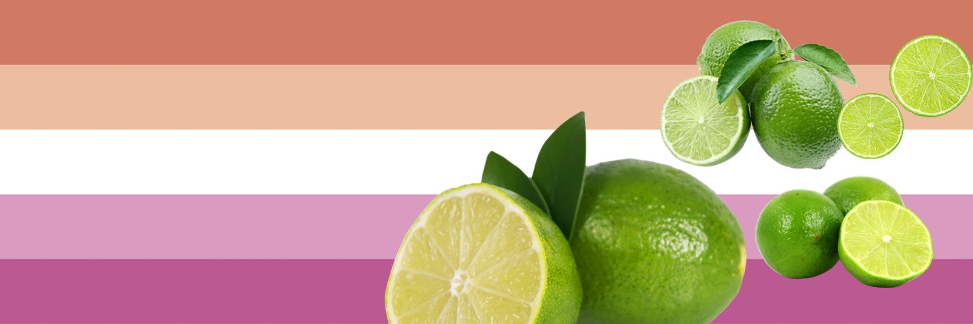 Lime Artsu - Portfolio