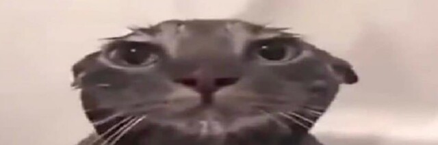 ArtStation - Viacheslav Protsenko