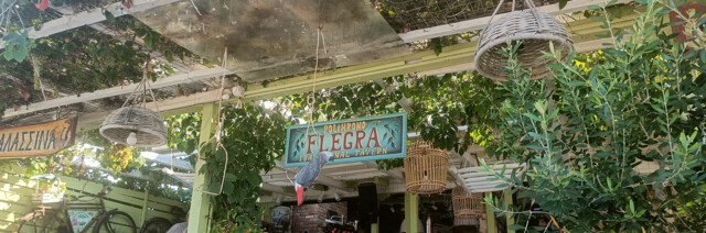 ArtStation - Dylan Webster