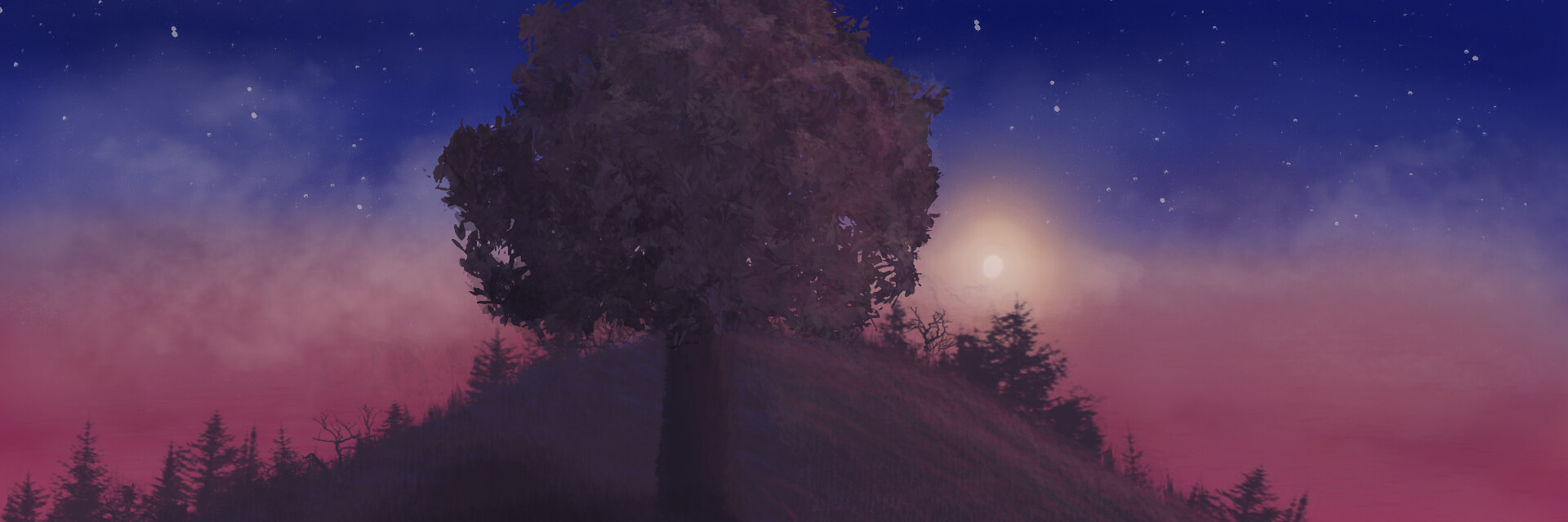 Cindy Rios - Portfolio