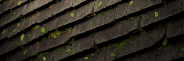 ArtStation - Agil Kazimov