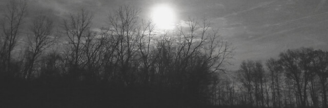 ArtStation - David Horne