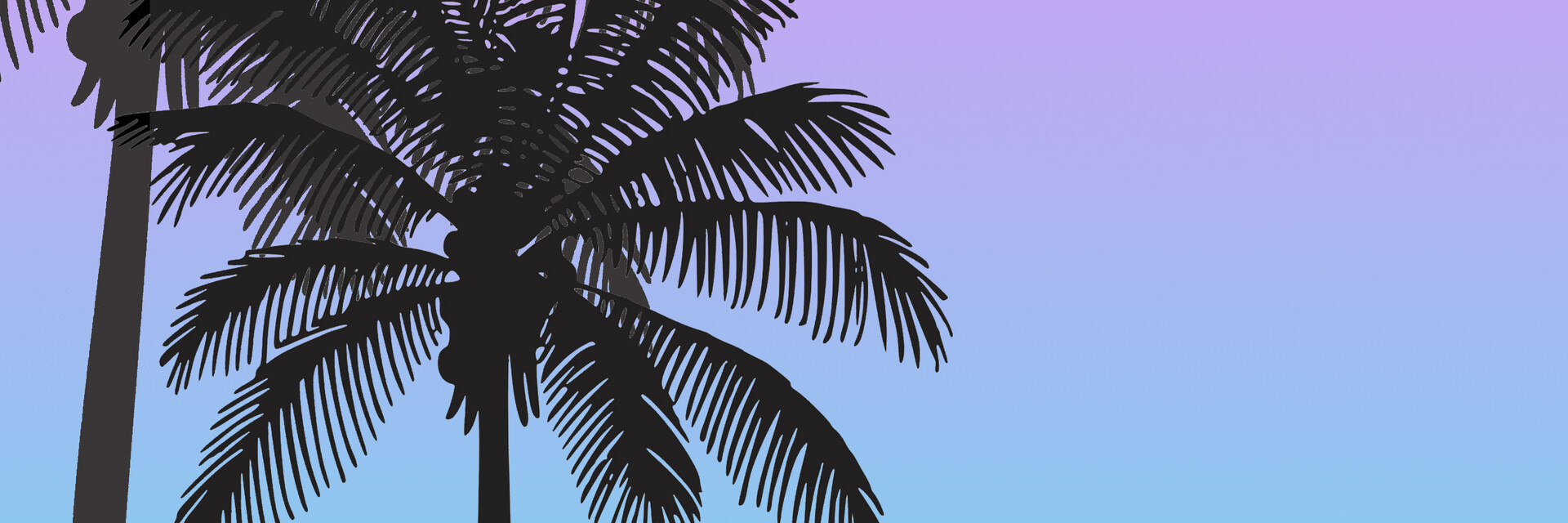 Scott Adamson - Portfolio