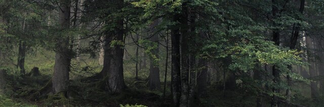 ArtStation - Walter Neumann