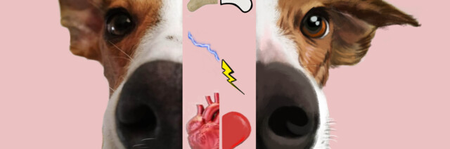 ArtStation - Miron John