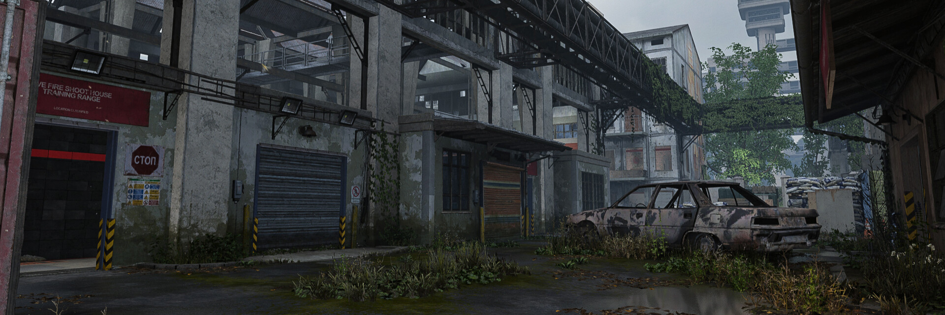 Michael Hong - Portfolio