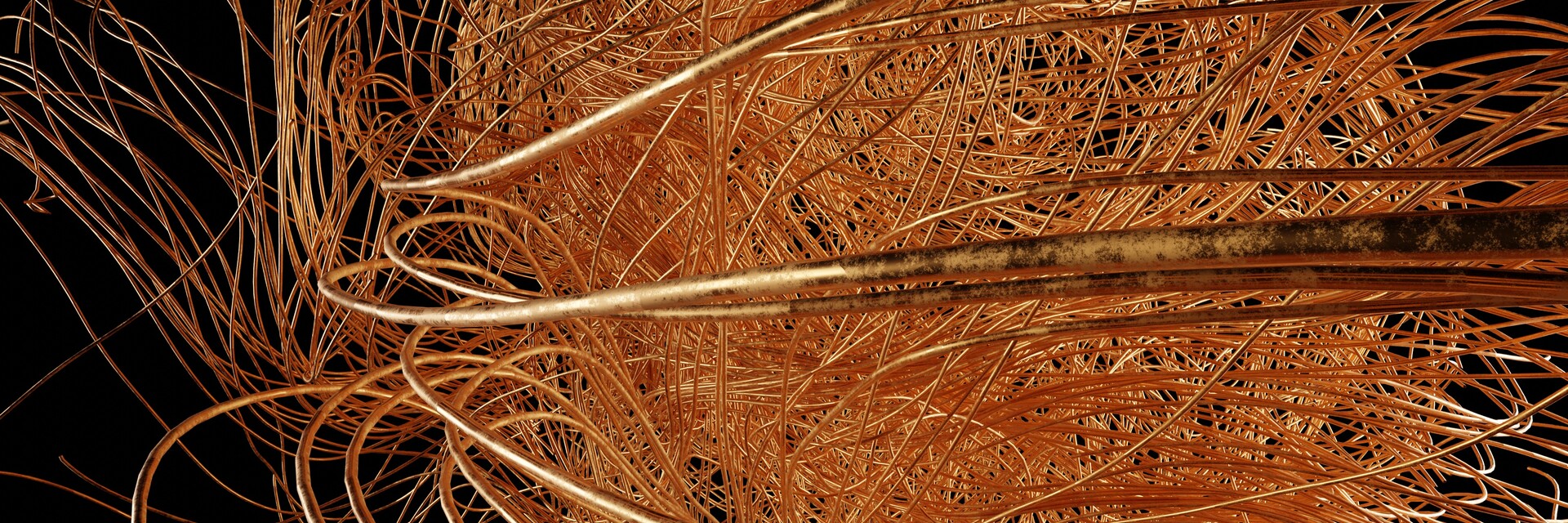 Andy Yanowitz - Portfolio