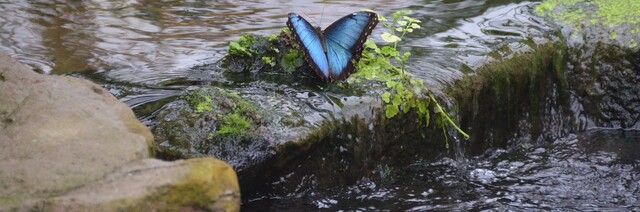 ArtStation - Fiona Beattie