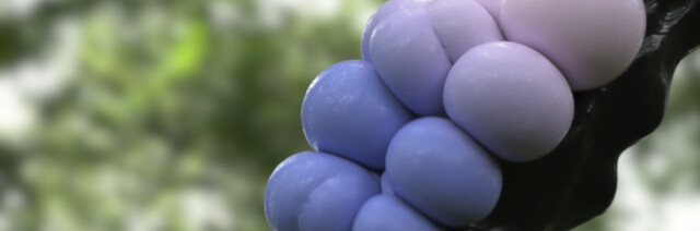 ArtStation - Mitchell