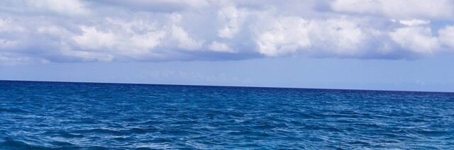 ArtStation - Daniel Alberti