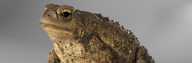 ArtStation - Justin Eum