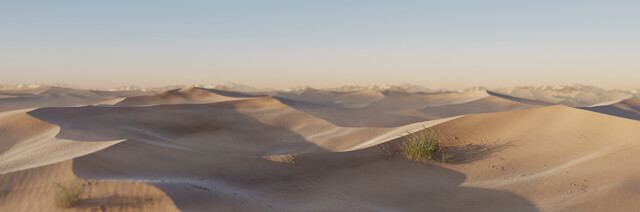 ArtStation - Fatih Hasan Topal