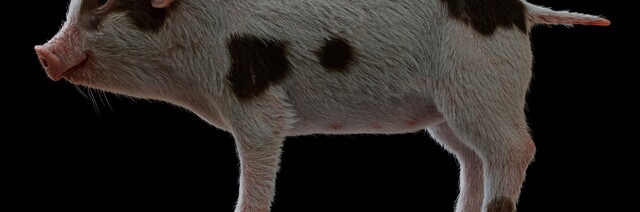 ArtStation - Akshay Mankar